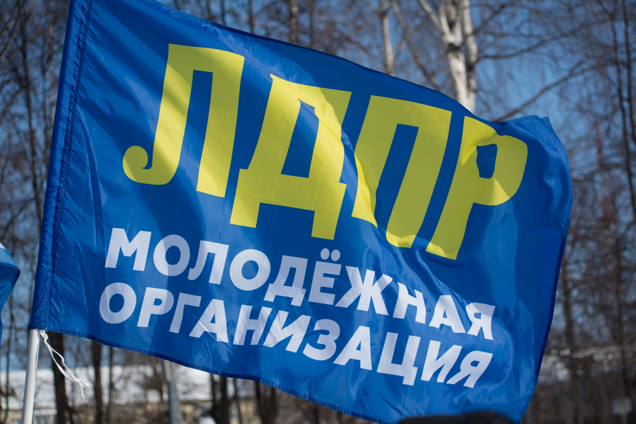 Молодёжь ЛДПР
